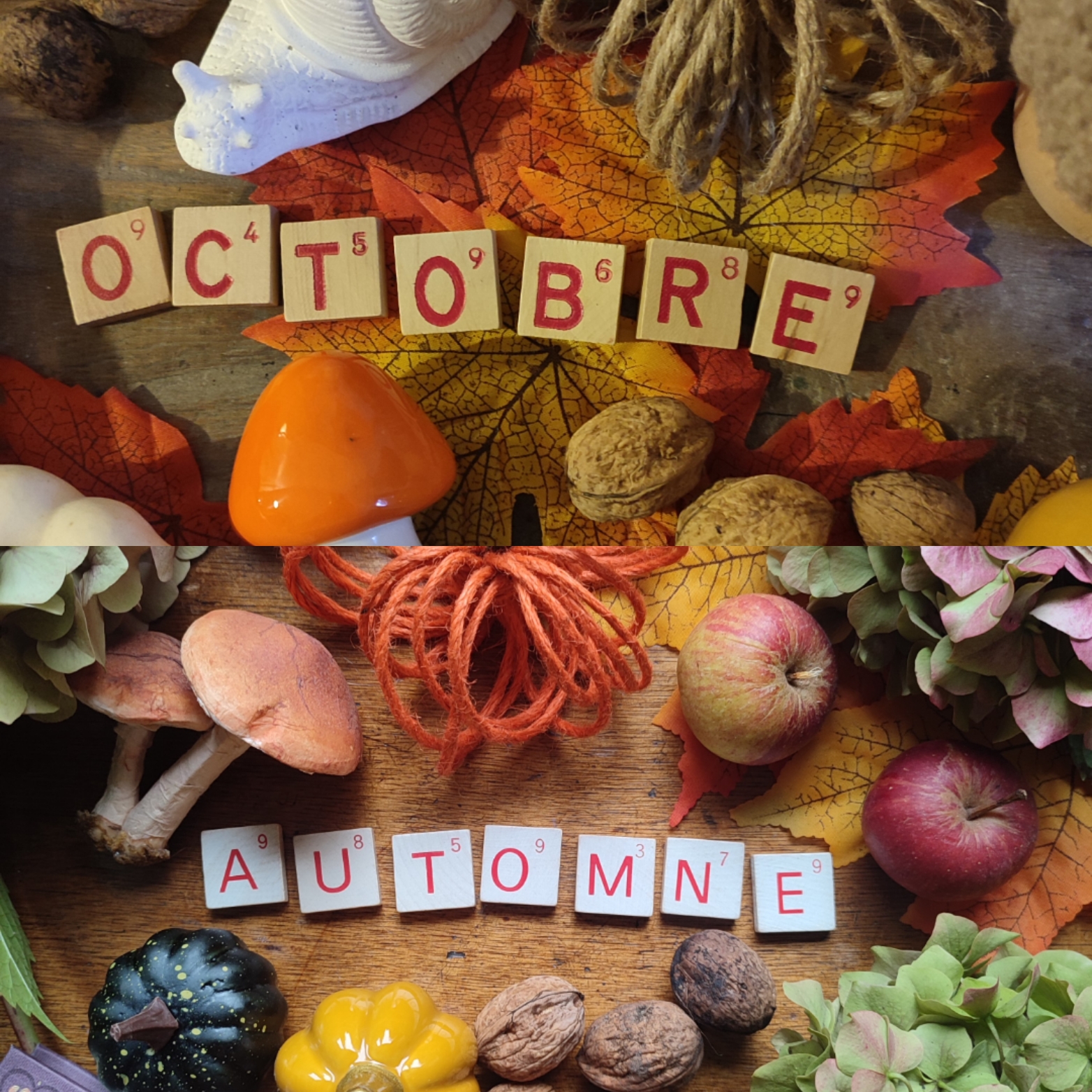 Un mois, un mot…Octobre-automne – Happy moments by Mary